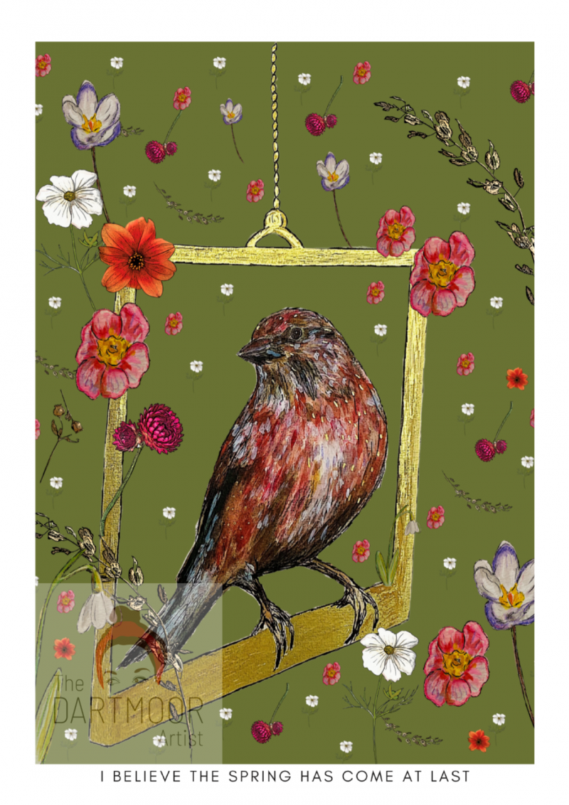 ‘Spring has come at last’ Art Print – The Dartmoor Artist